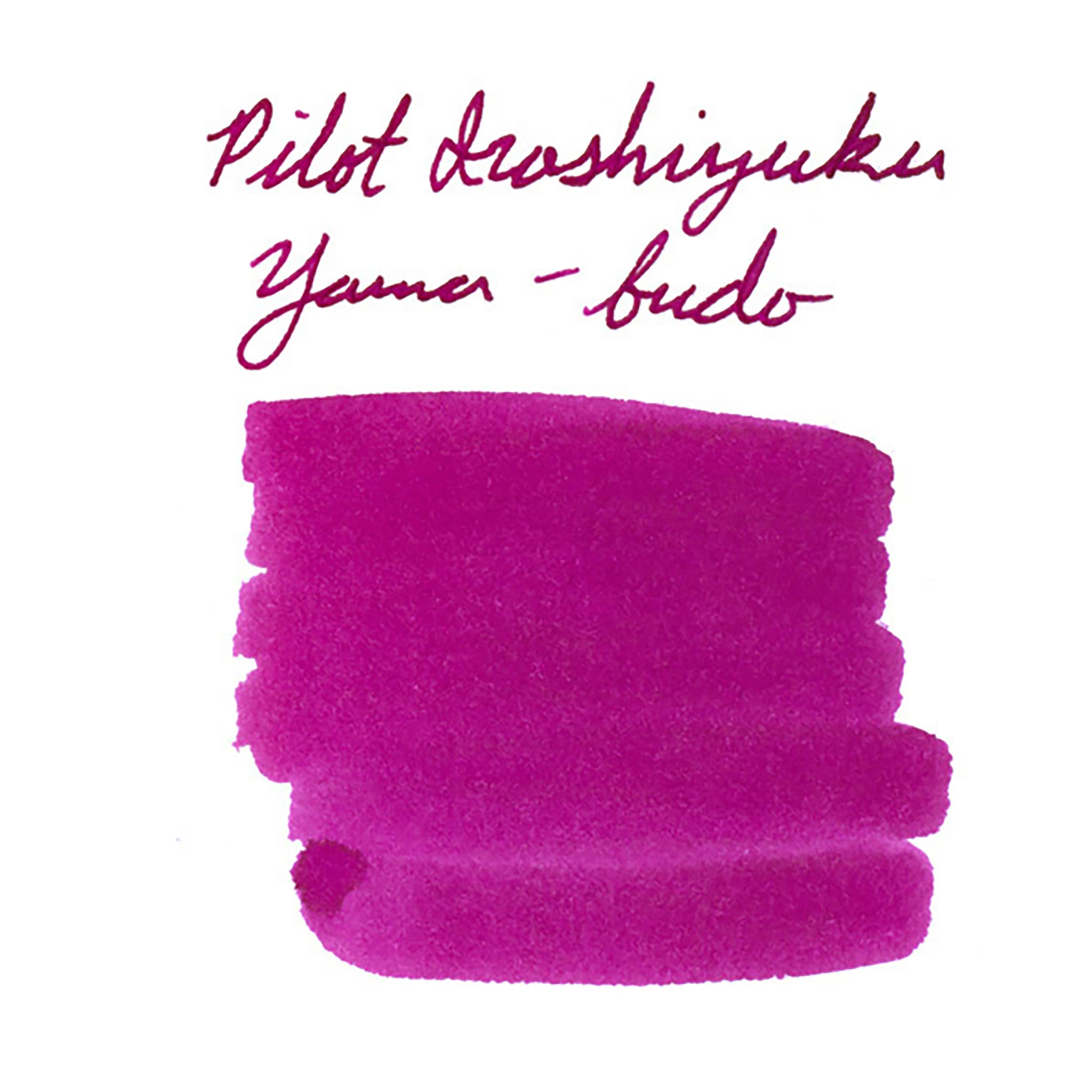 Pilot and Iroshizuku Fountain Pen Ink and Samples - The Goulet Pen Company