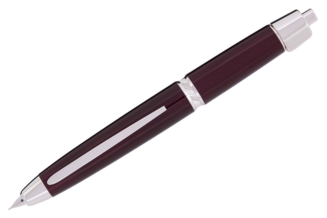 Pilot Vanishing Point LS Fountain Pens - The Goulet Pen Company